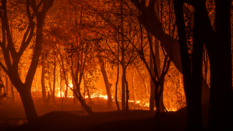 Supply Chain Disasters: Climate Disaster Impacts - Converge